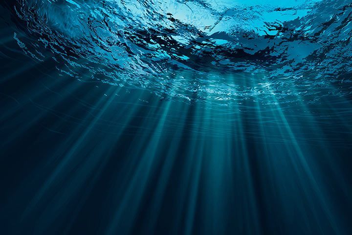 6 gruselige Tiere, die in der Tiefsee leben!