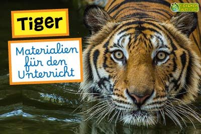 Material - Tierarten